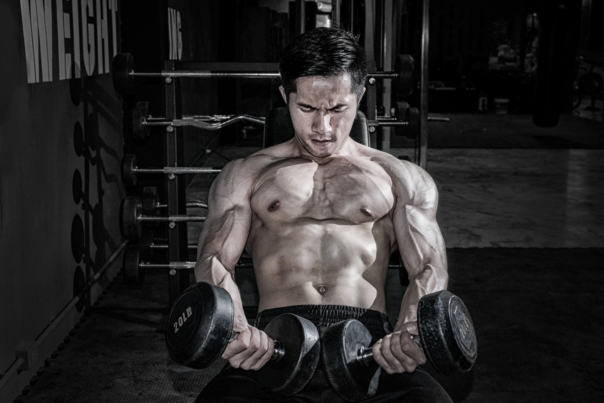 Dumbbell Aesthetics | Gym Plan